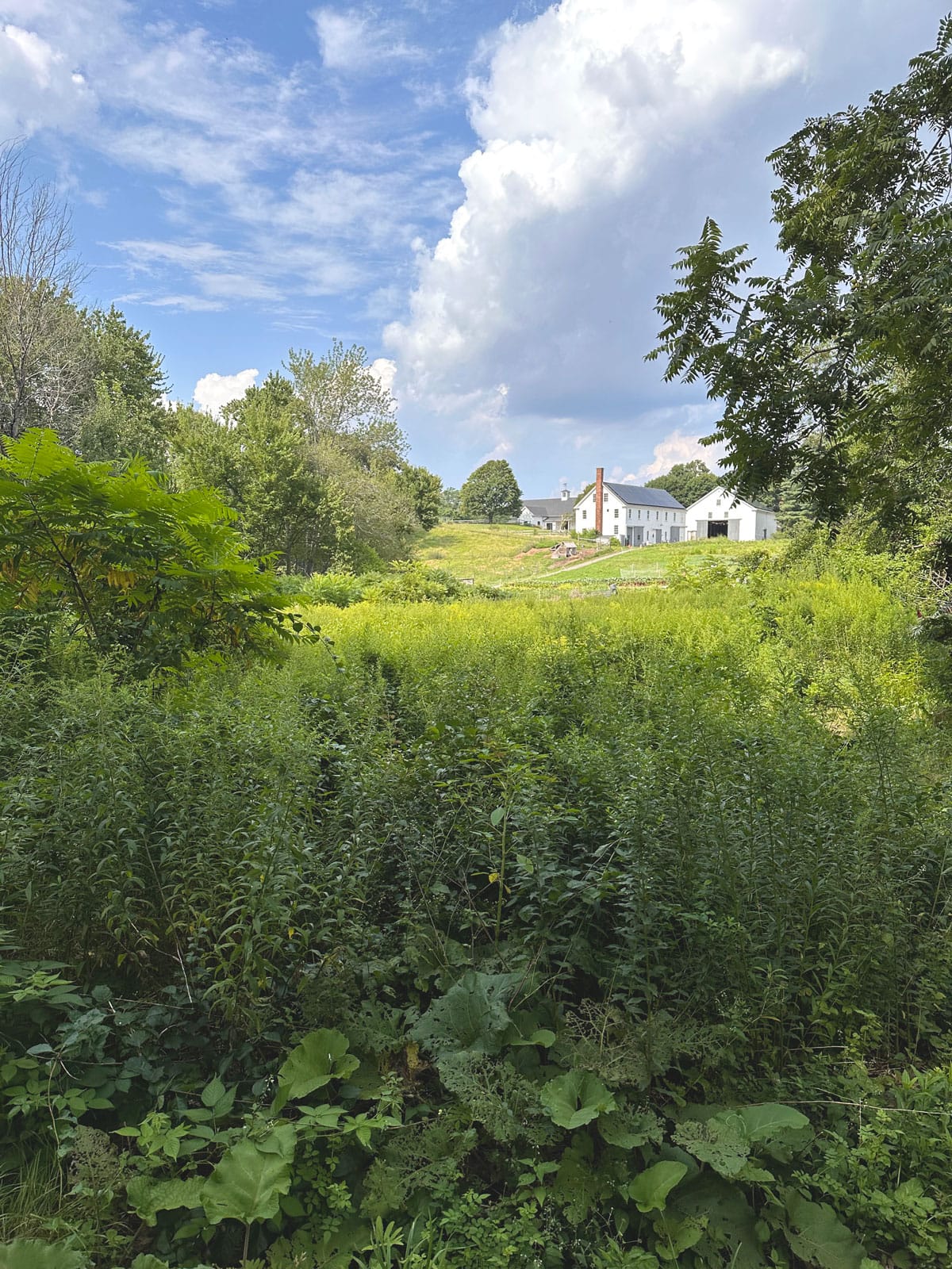 WIN Fast Forest planting re-scheduled for May 4